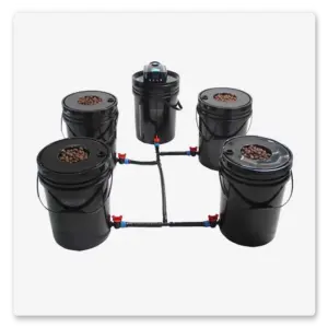 4 Tank Hydrophone System - DWC - Grow shop in Tbilisi - Stoners Bay